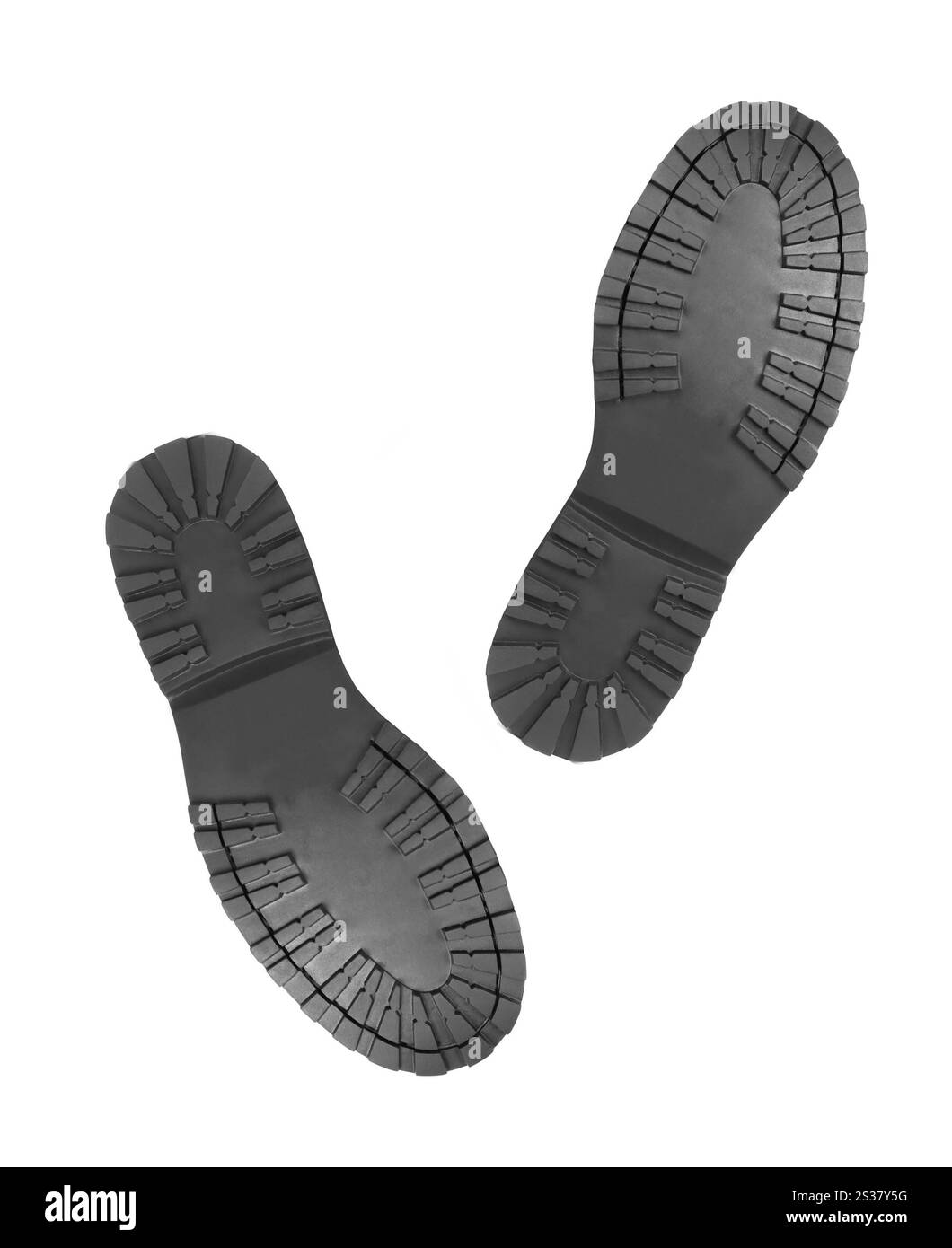 sole isolated on white background. sole Stock Photo - Alamy