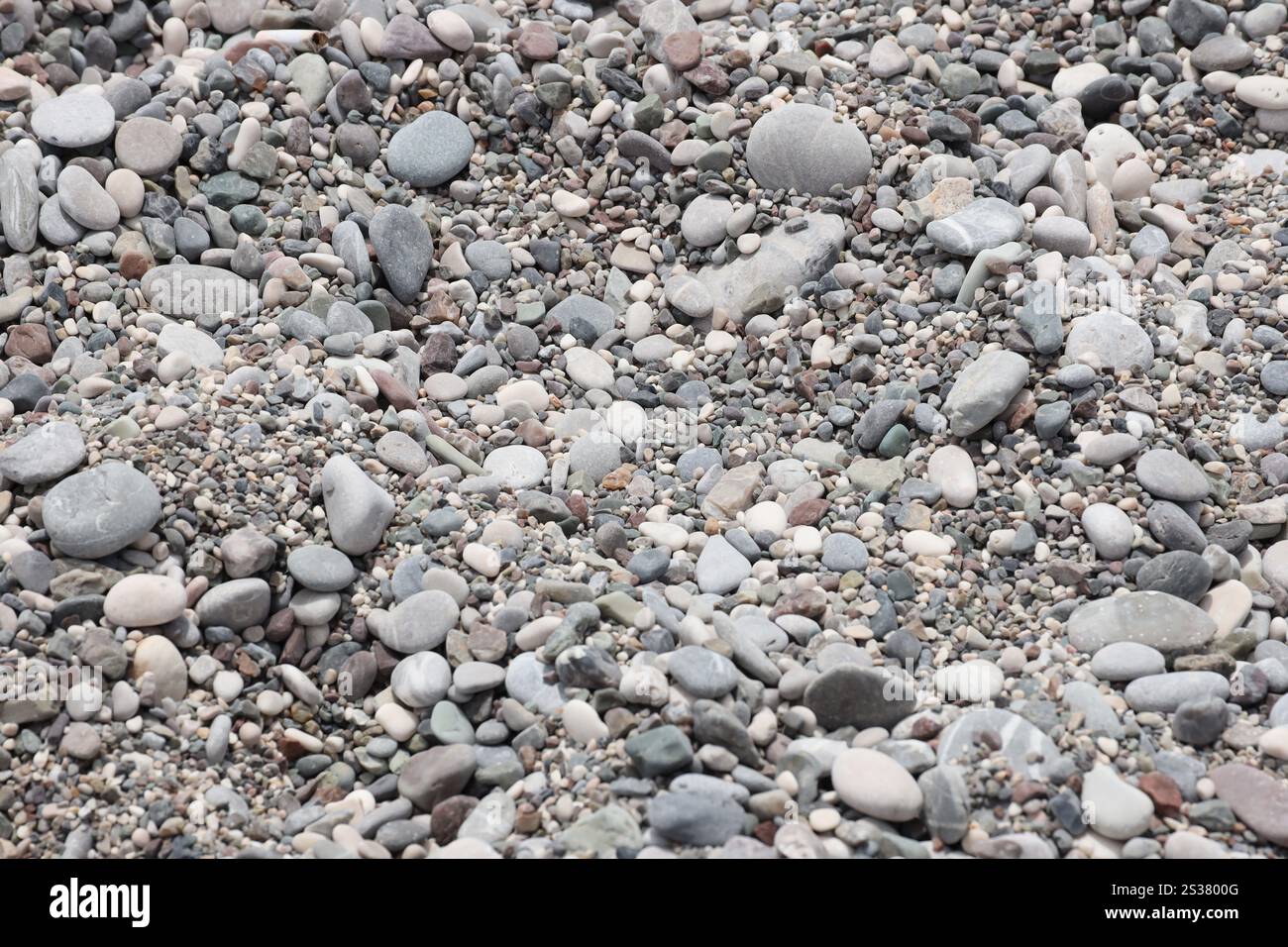 Texture of pebbles from the sea shore bank beach. Many pebbles from sea ...