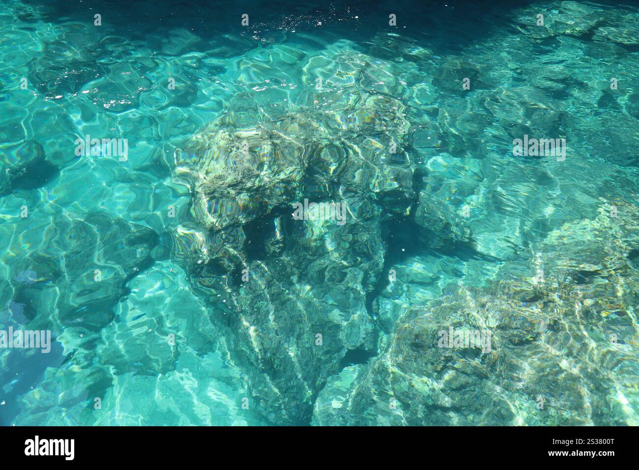 Underwater photography selective focus. Stones at the bottom of the ...