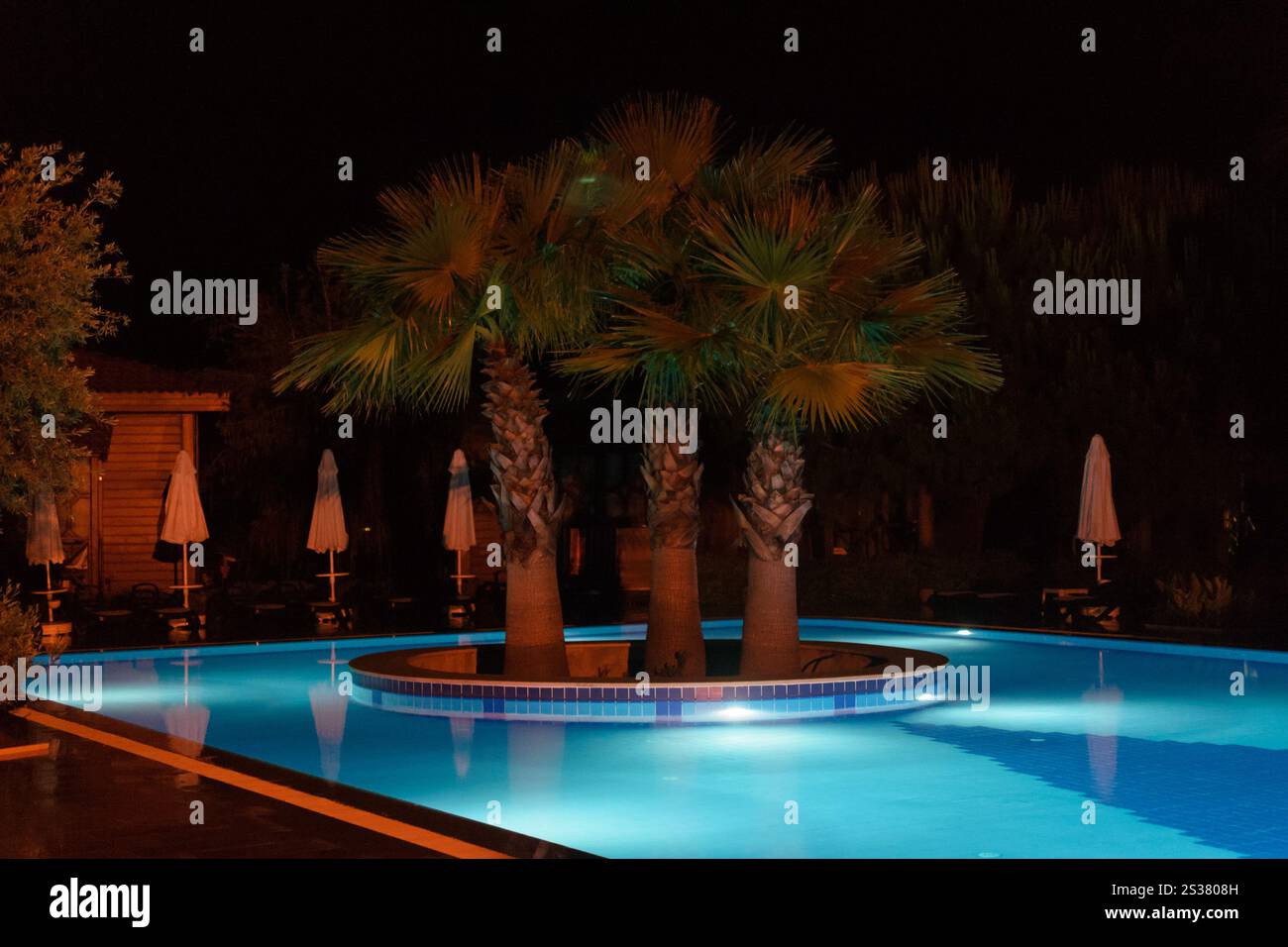 swimming pool with palm trees at night photo. swimming pool with palm ...