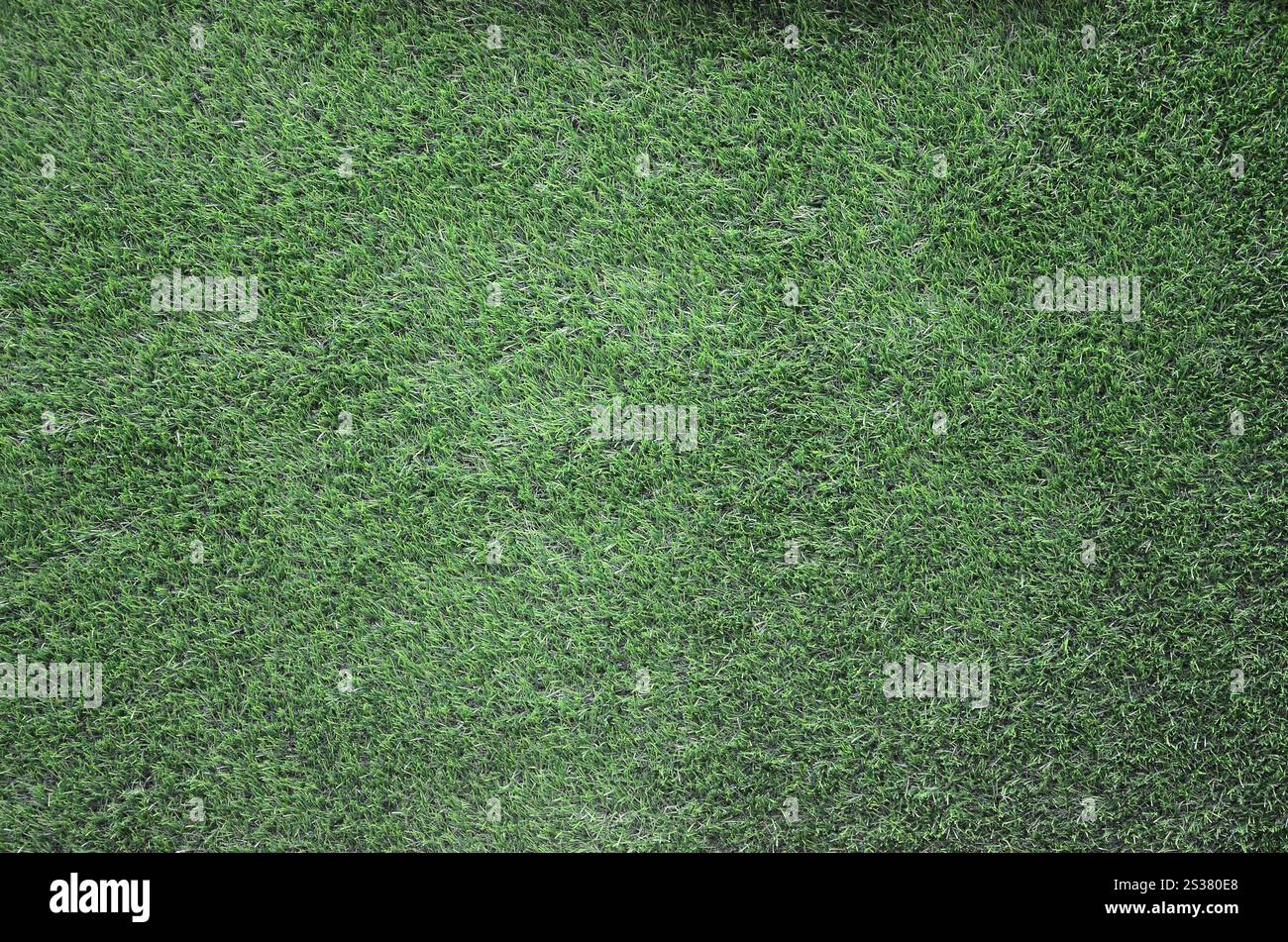 Green grass background, green lawn pattern textured background. Dark ...