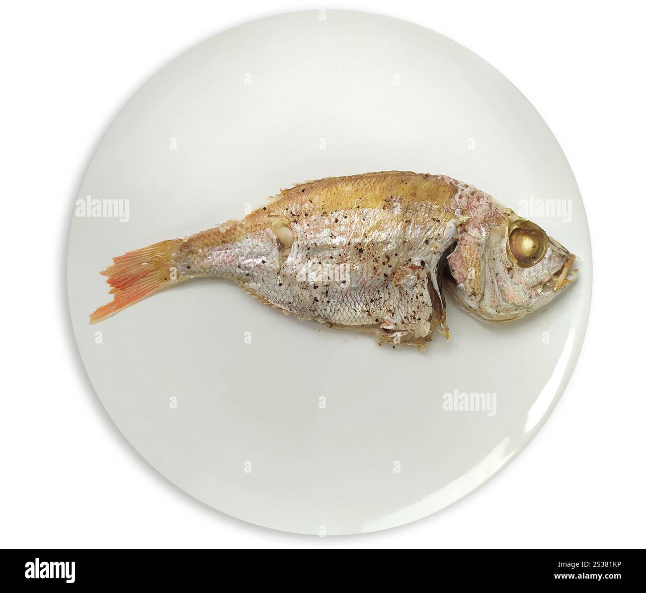 Grilled fish top view and close up. Healthy baked sea food for lunch ...