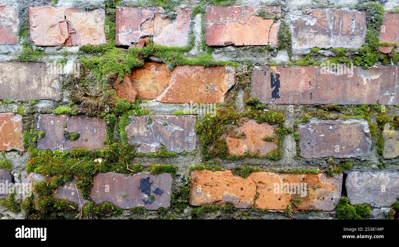 Texture damaged brick wall hi-res stock photography and images - Alamy
