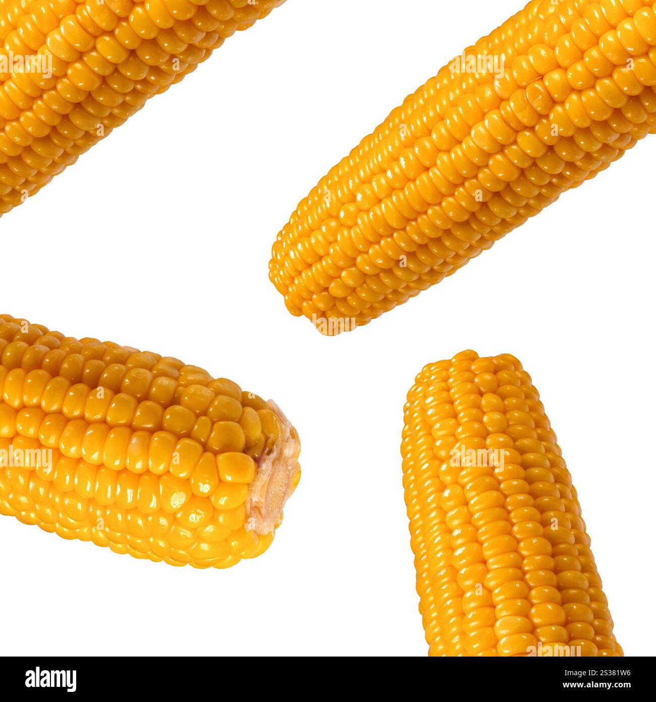 Sweet Corns isolated On White Background. Sweet Corns isolated Stock ...