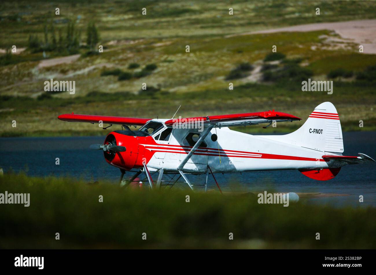 Beaver bushplane, C-FNOT, at the lakeside of Whitefish lake in the ...