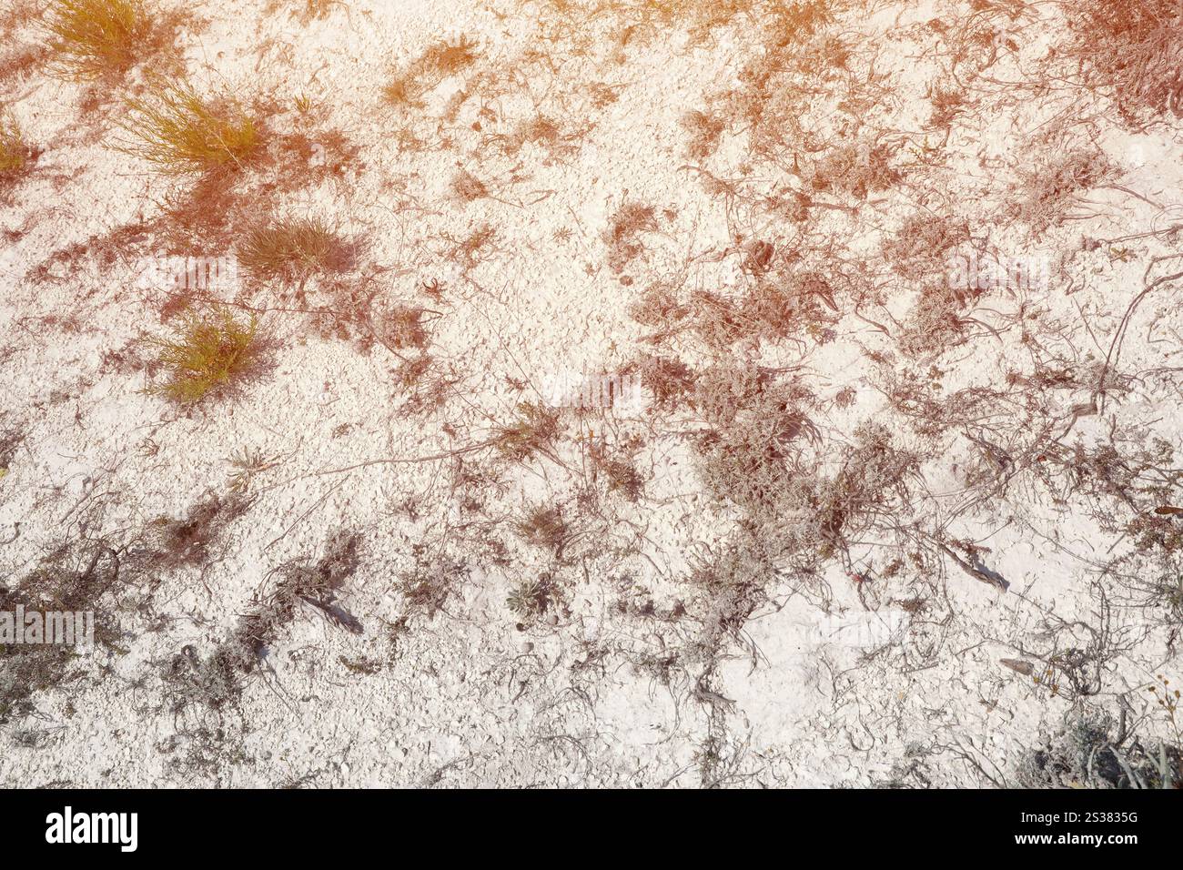 Chalk mining limestone quarry. Opencast mining chalk surface with dry ...