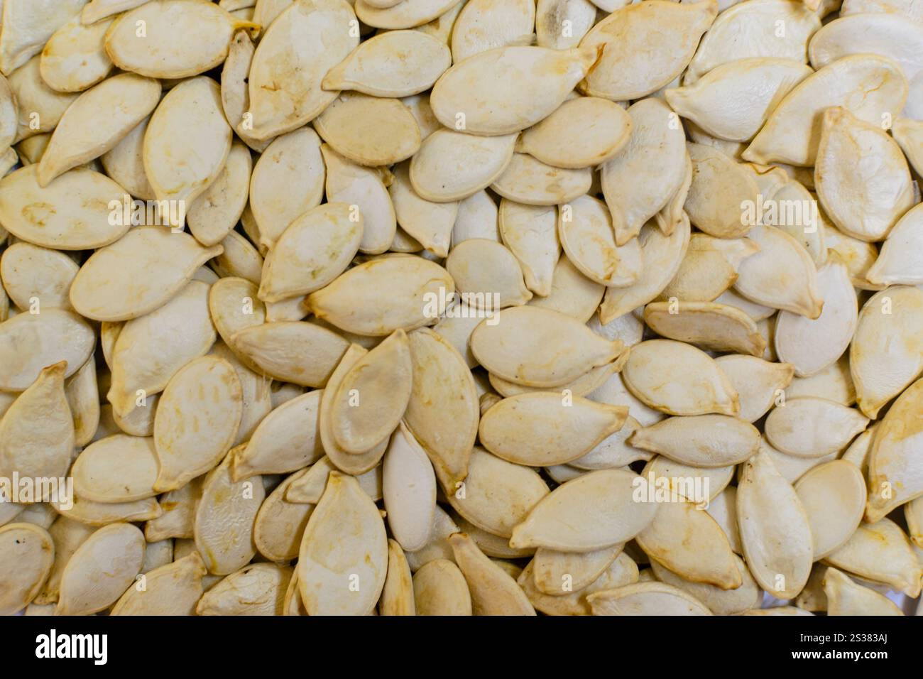 Pumpkin seeds background texture photo. Pumpkin seeds background ...