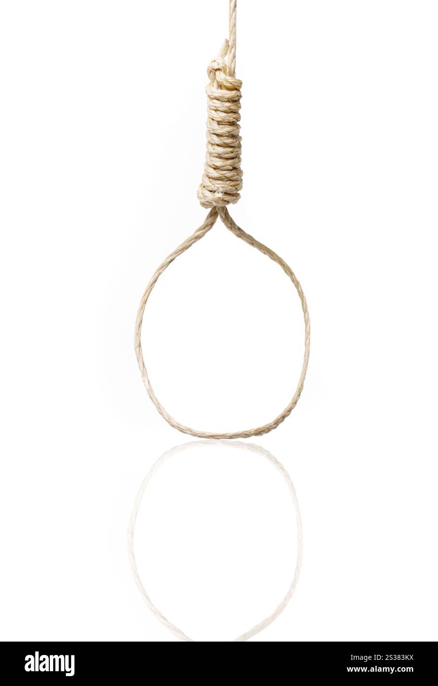 noose isolated on a white background. noose isolated on white Stock ...
