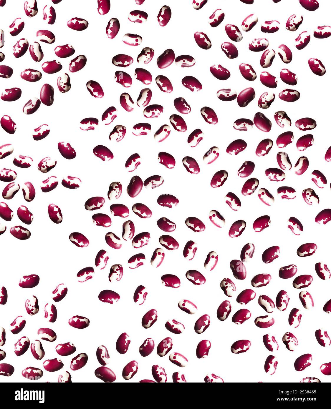 dried beans isolated on white background. dried beans on white ...