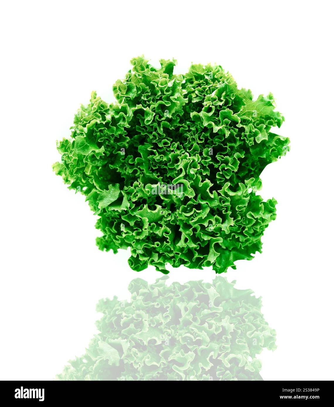 green leaves lettuce isolated on white background. green leaves lettuce Stock Photo - Alamy