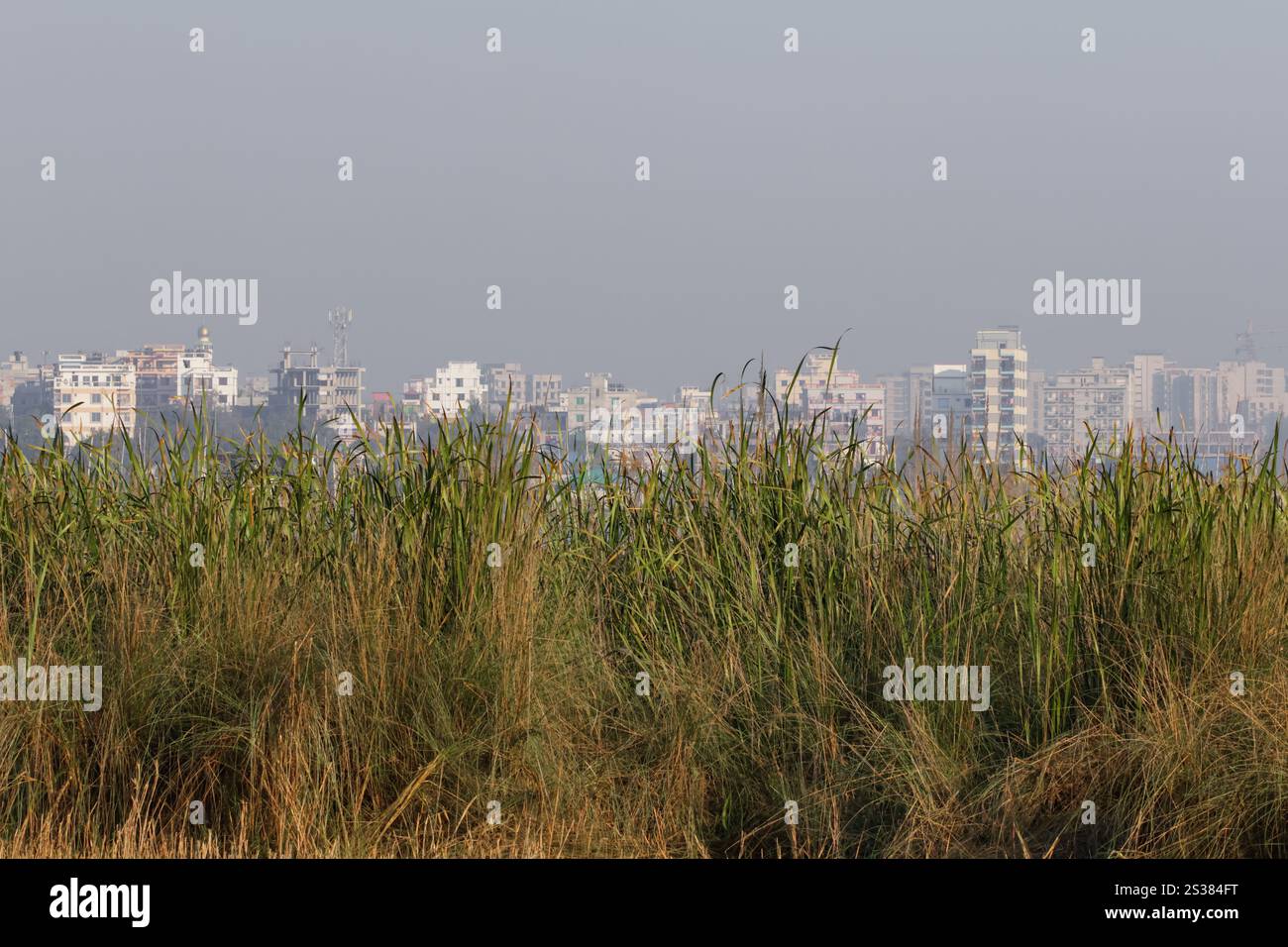 Beautiful view of Dhaka city with buildings and natural grass field ...