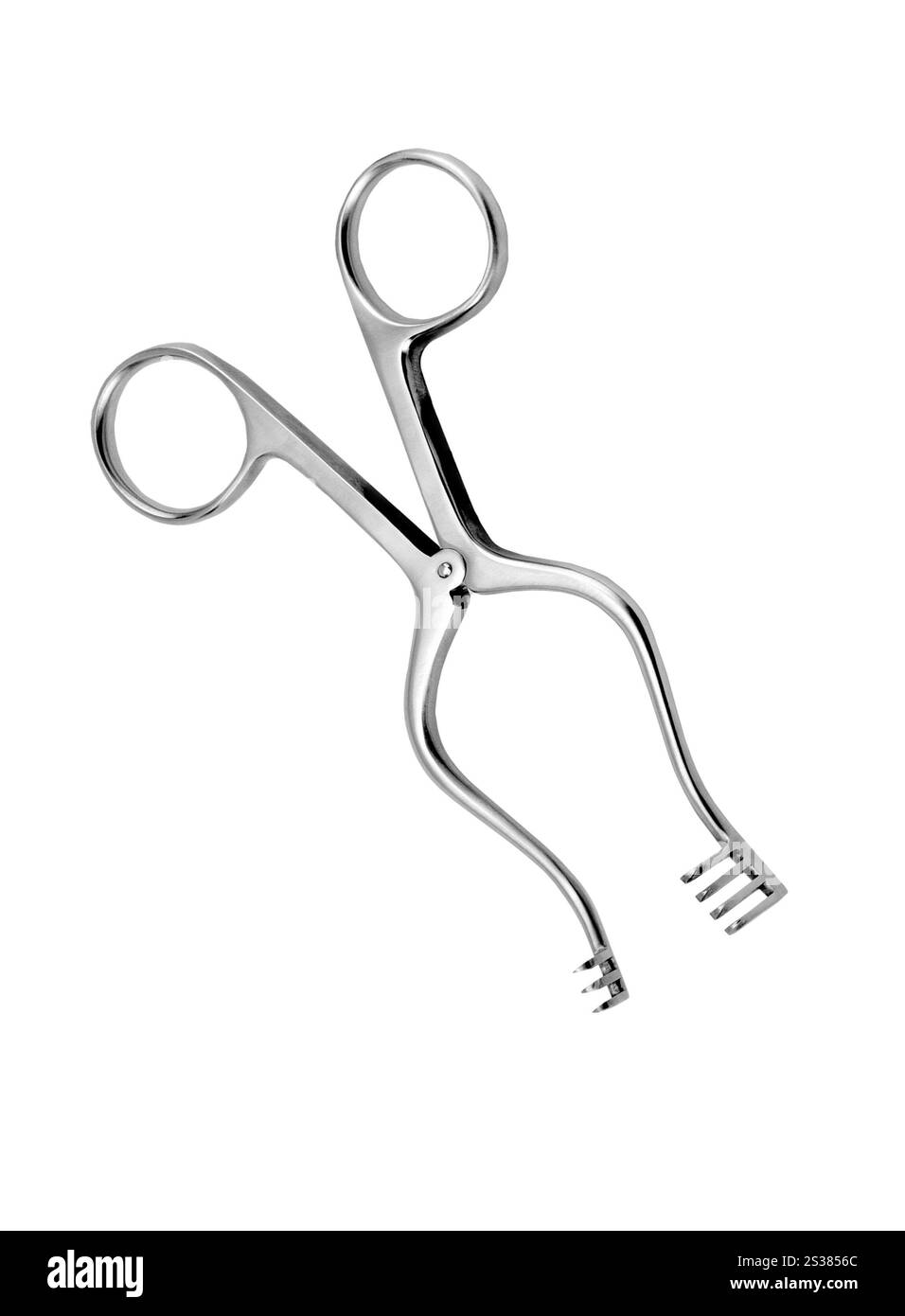 forceps isolated on white background. forceps isolated in white ...