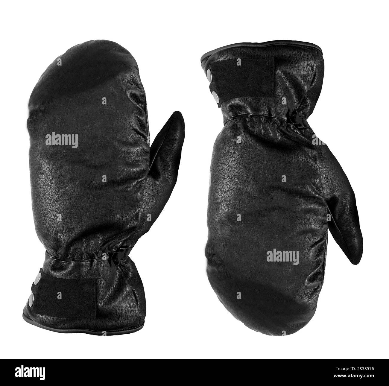 Mitten isolated on white background. Mitten. On a white background ...