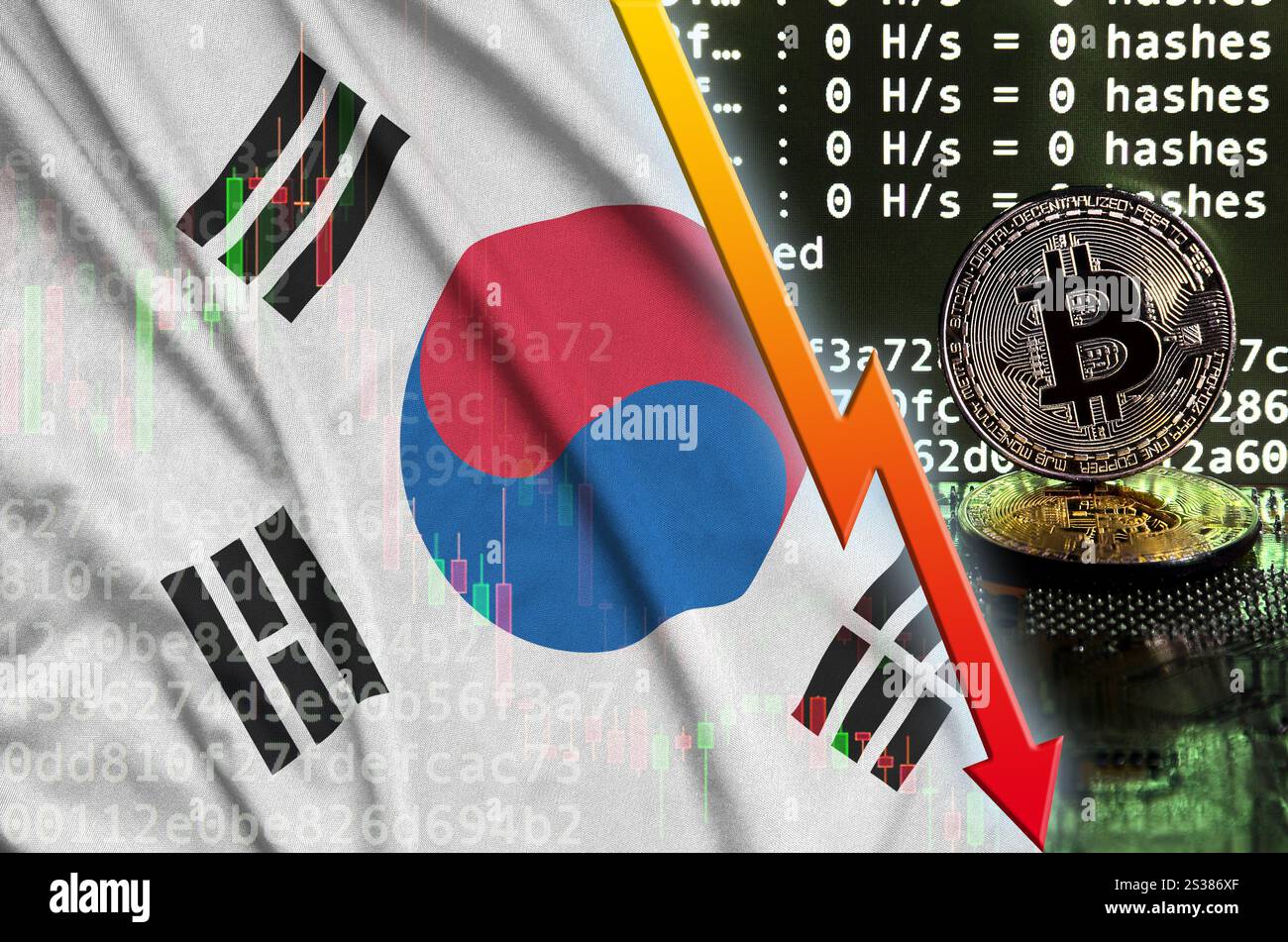 South Korea flag and falling red arrow on bitcoin mining screen and two physical golden bitcoins ...