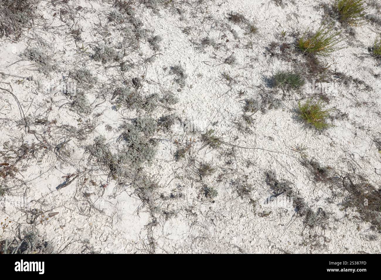 Chalk mining limestone quarry. Opencast mining chalk surface with dry ...