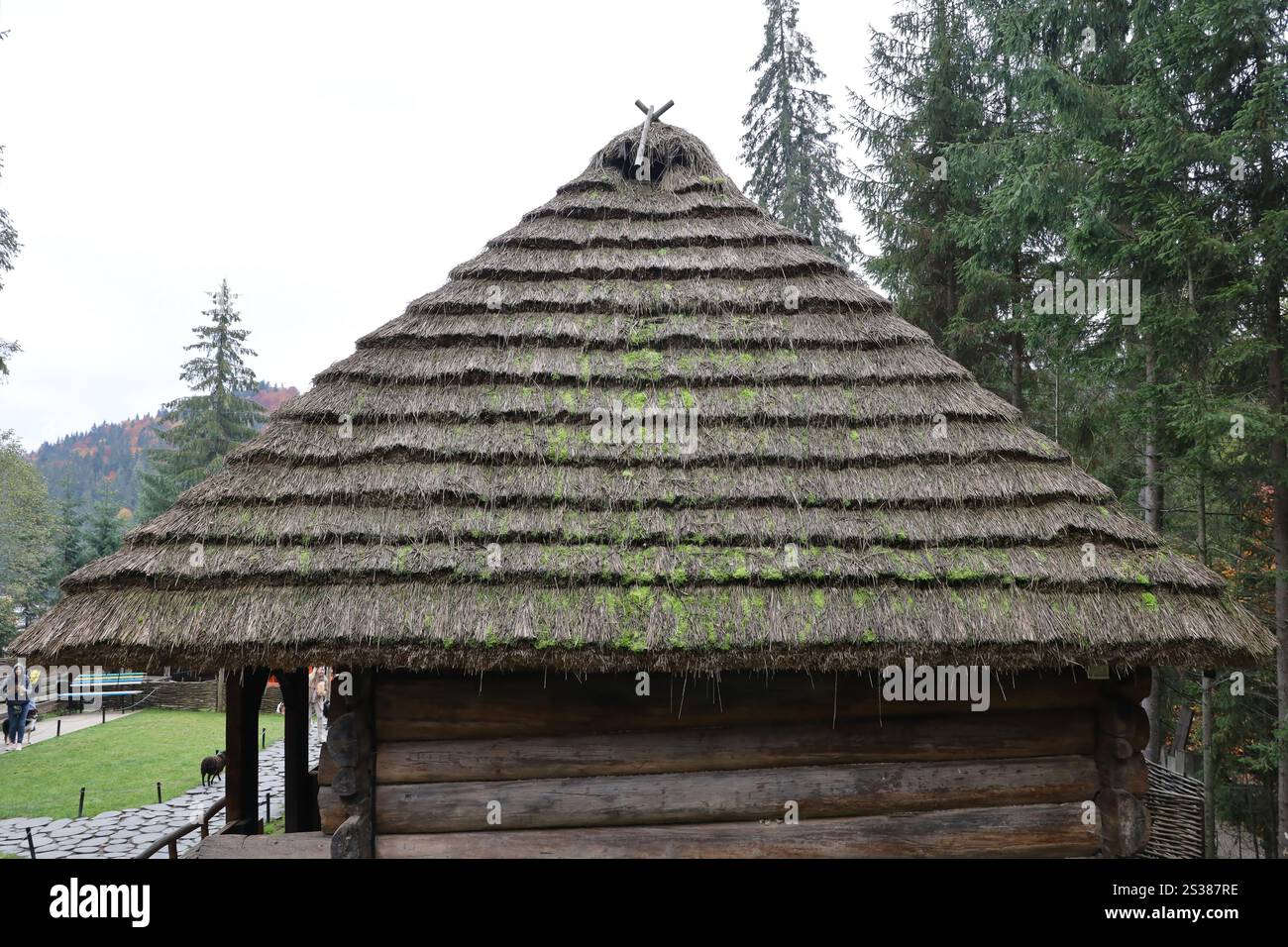 Huge thatched roof of traditional ukrainian house. Straw roof with ...