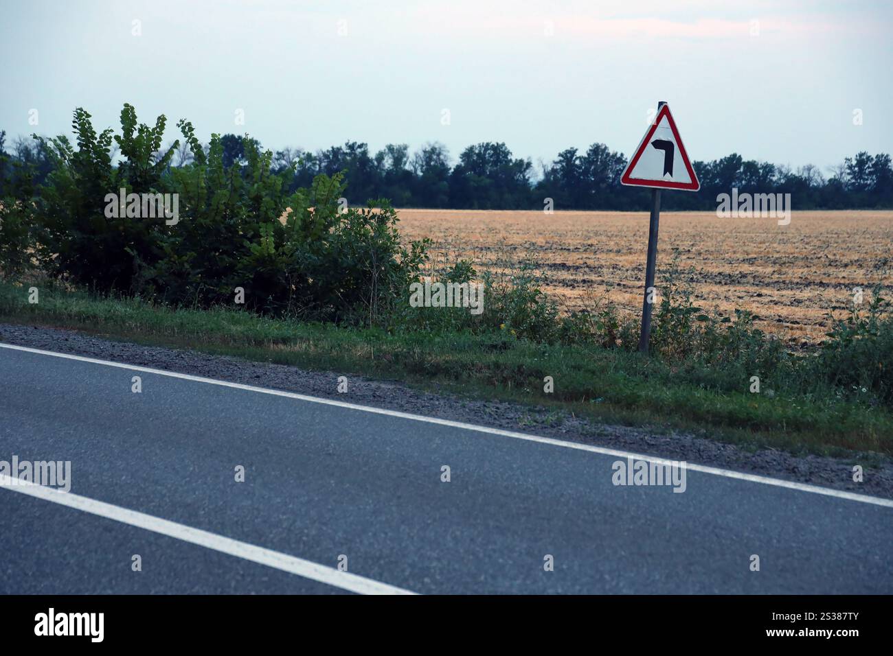 Empty asphalt road and floral field of different grass and flowers in ...