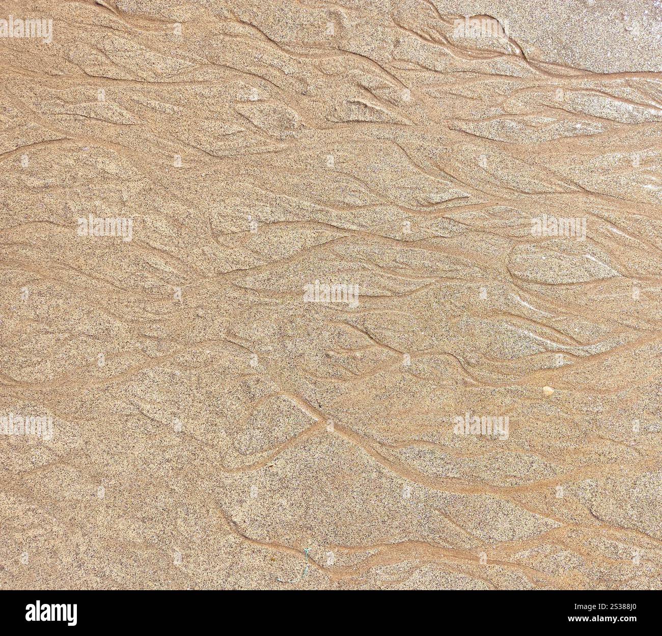 Beach wet sand texture. Sandy shore beige background. Empty clean seashore. Beach wet sand ...