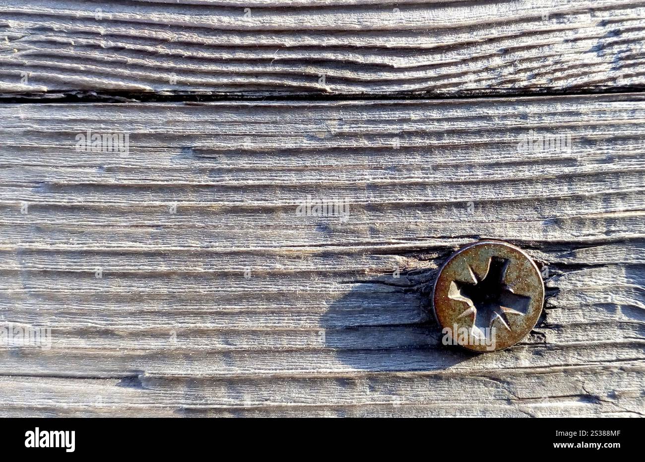 Screw head on wood background texture. Close up nature copy space ...
