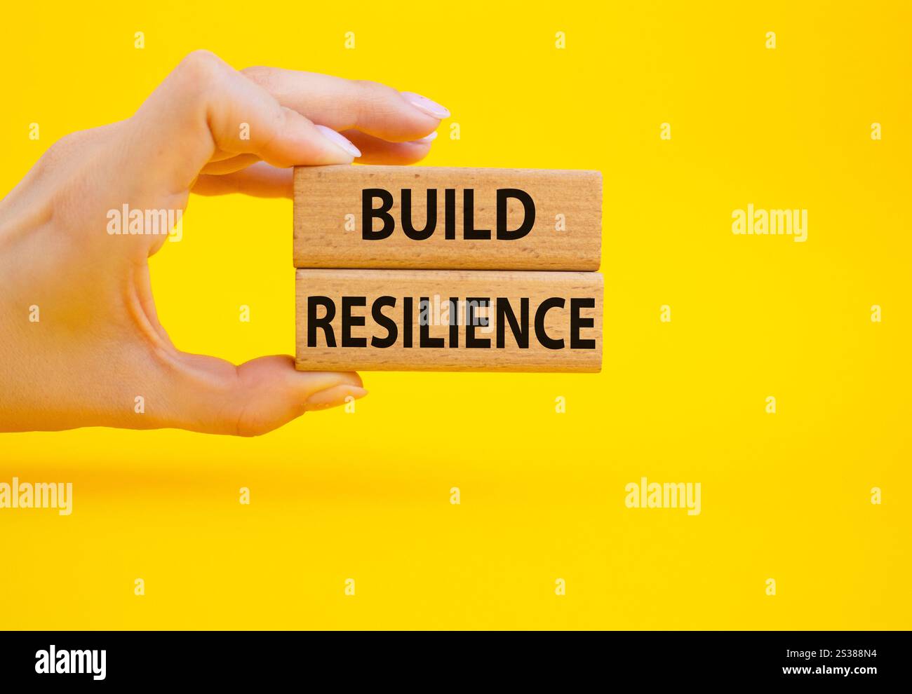 Build resilience symbol. Wooden blocks with words Build resilience ...