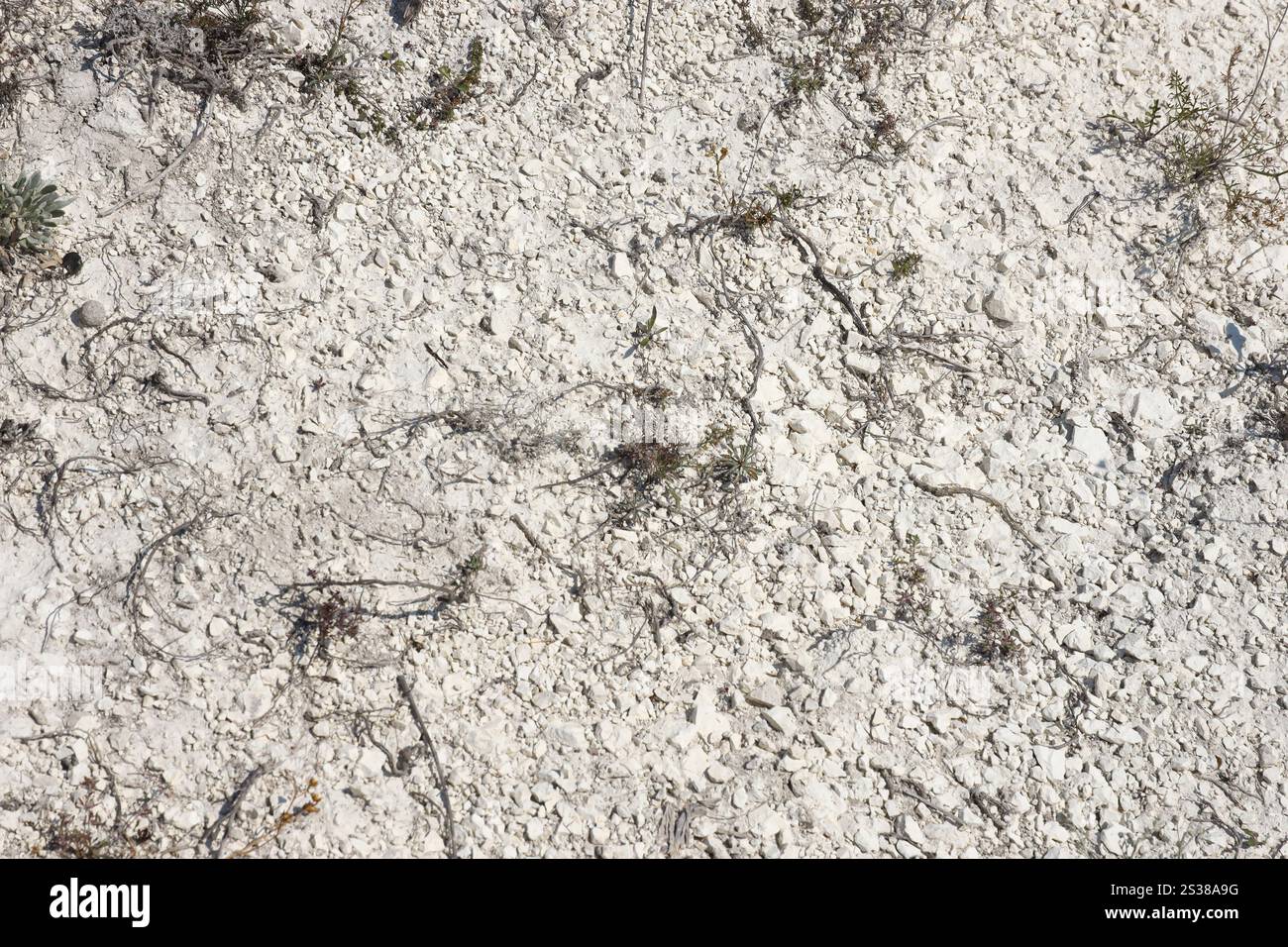 Chalk mining limestone quarry. Opencast mining chalk surface with dry ...