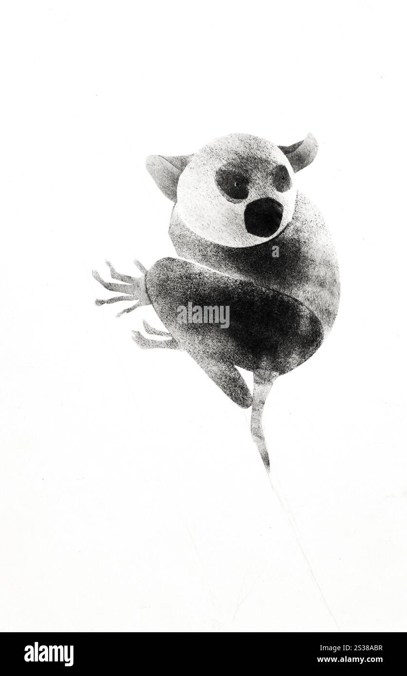 Mouse lemur hand hi-res stock photography and images - Alamy