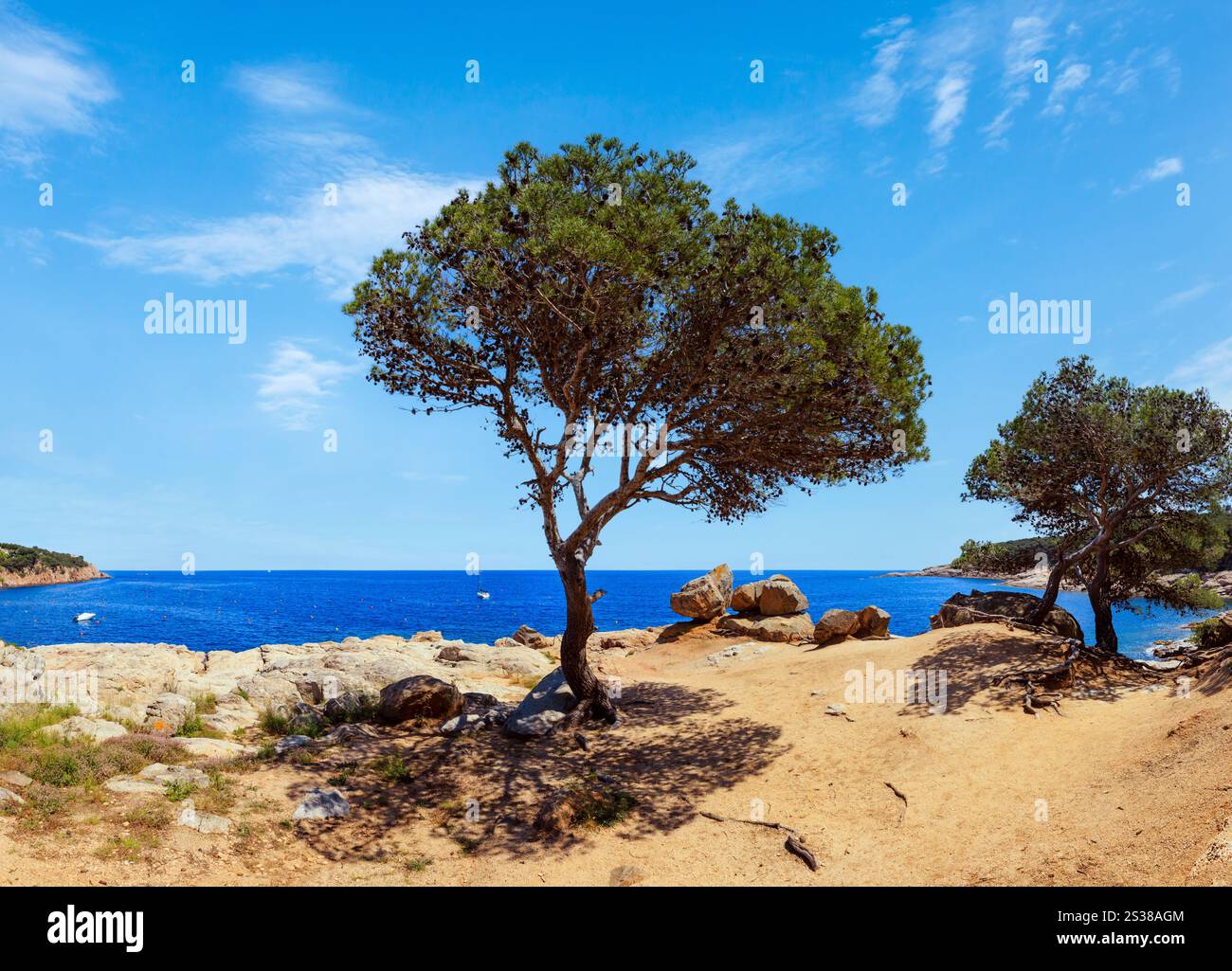 Mediterranean trees hi-res stock photography and images - Alamy