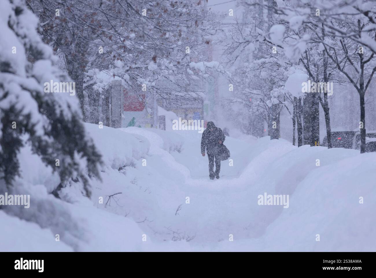 Snow falls in Yonazawa City, Yamagata Prefecture, northern Japan and ...