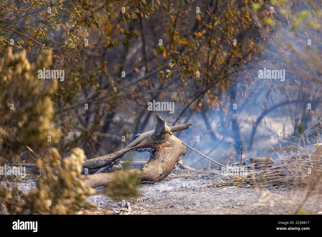 Firefighters battle multiple wildfires across Los Angeles, including the Palisades, Eaton, Hurst ...