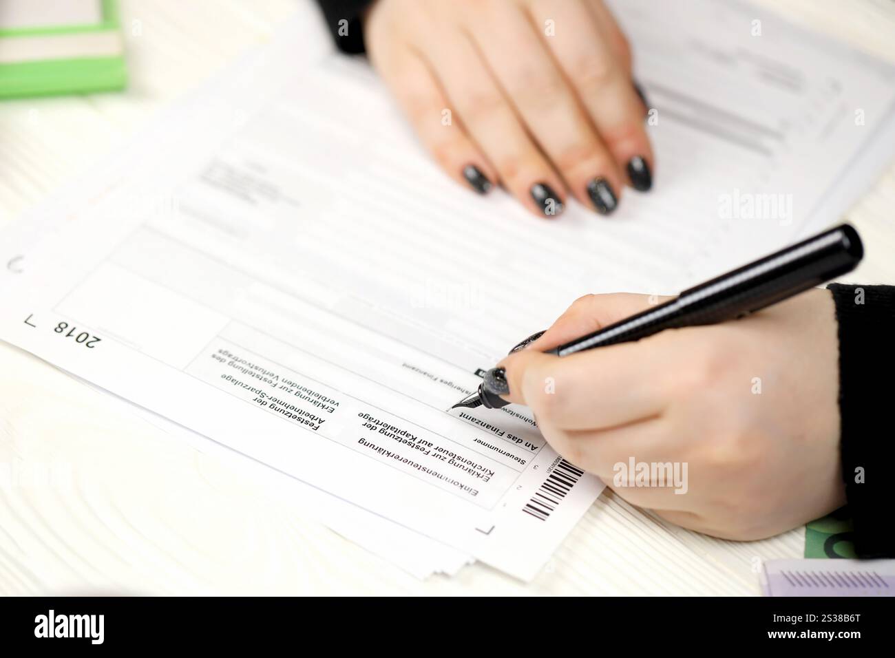 Accountant fill german tax form Einkommensteuererklarung in end of tax ...