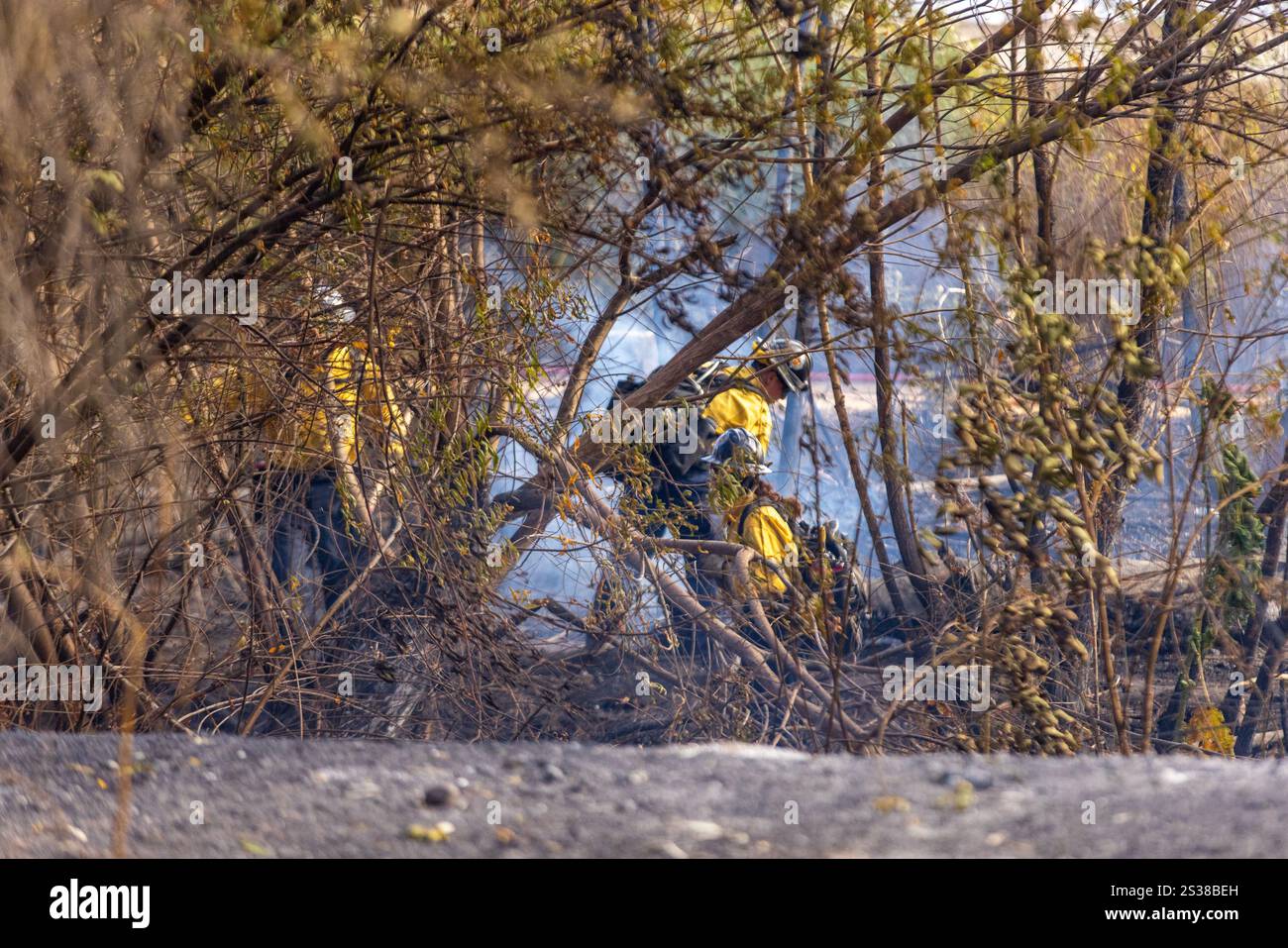 Firefighters battle multiple wildfires across Los Angeles, including the Palisades, Eaton, Hurst ...