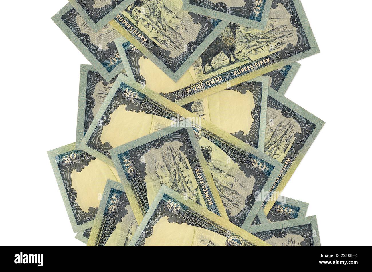 50 Nepalese rupees bills flying down isolated on white. Many banknotes ...