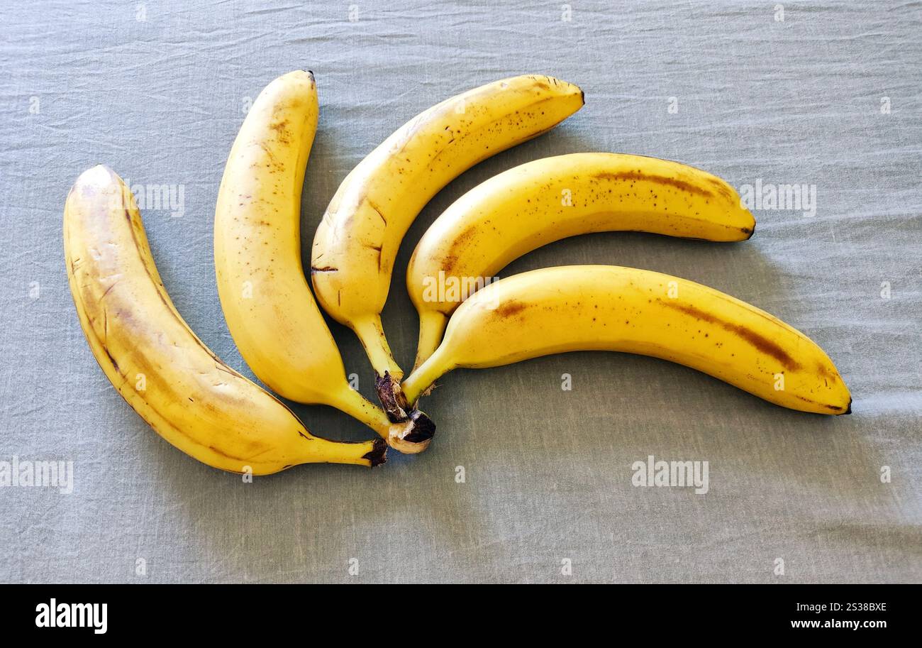 Ripe bananas. Exotic tropical yellow fruit. Banana is a symbol of ...