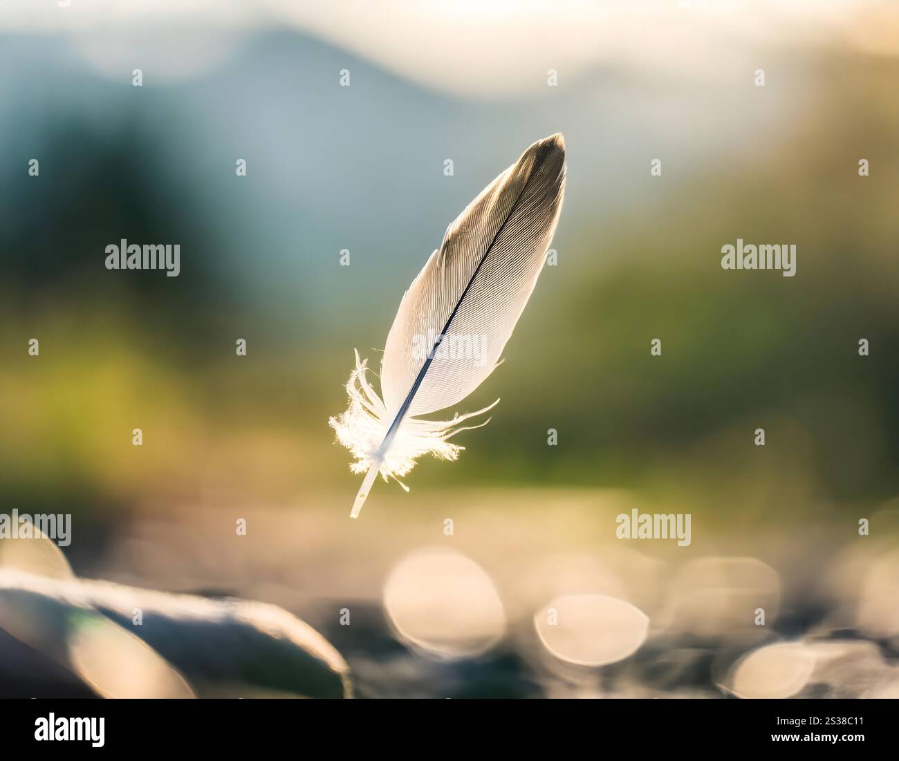 A light feather delicately sits on top of a lush green leaf, creating a ...