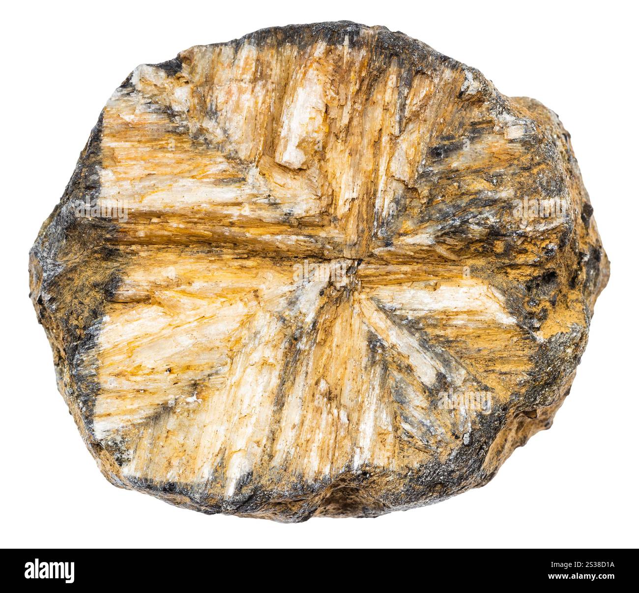 close up of sample of natural stone from geological collection ...