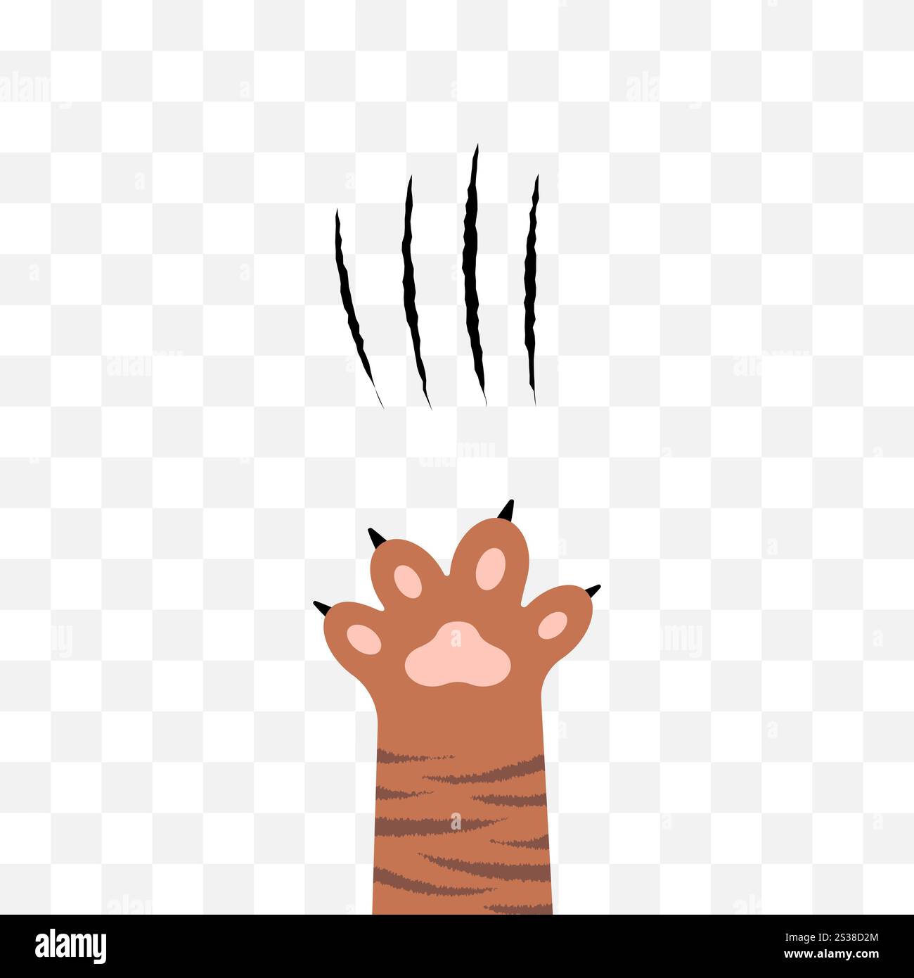 Cat scratch. Pets or wild animal claw marks isolated on transparent ...