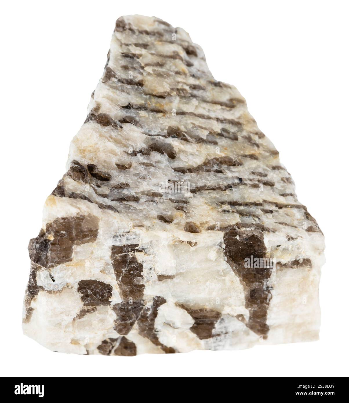 close up of sample of natural stone from geological collection ...