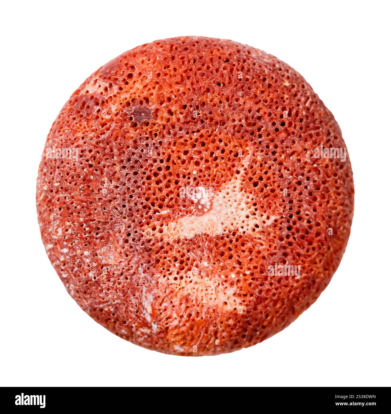 round bead from sponge red coral isolated on white background Stock ...