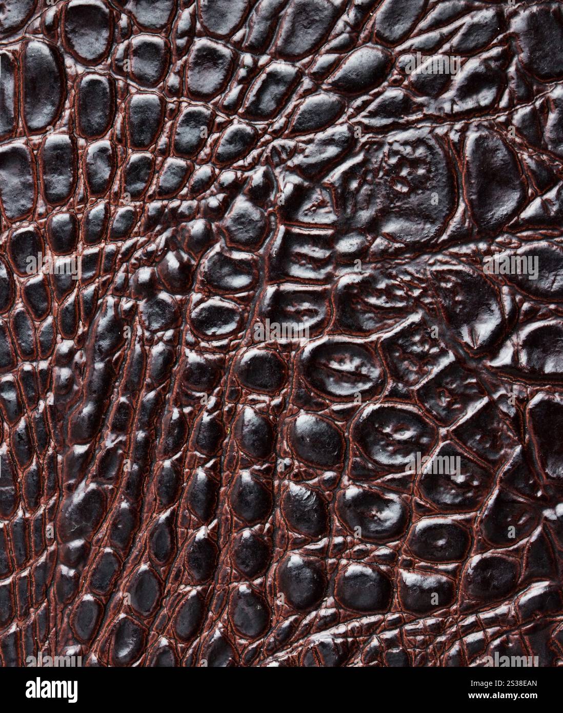 Crocodile skin texture or background. Crocodile skin texture Stock ...