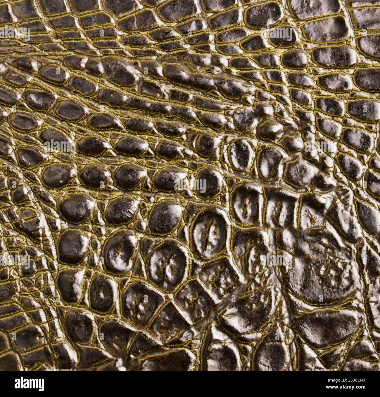 Crocodile skin texture or background. Crocodile skin texture Stock ...