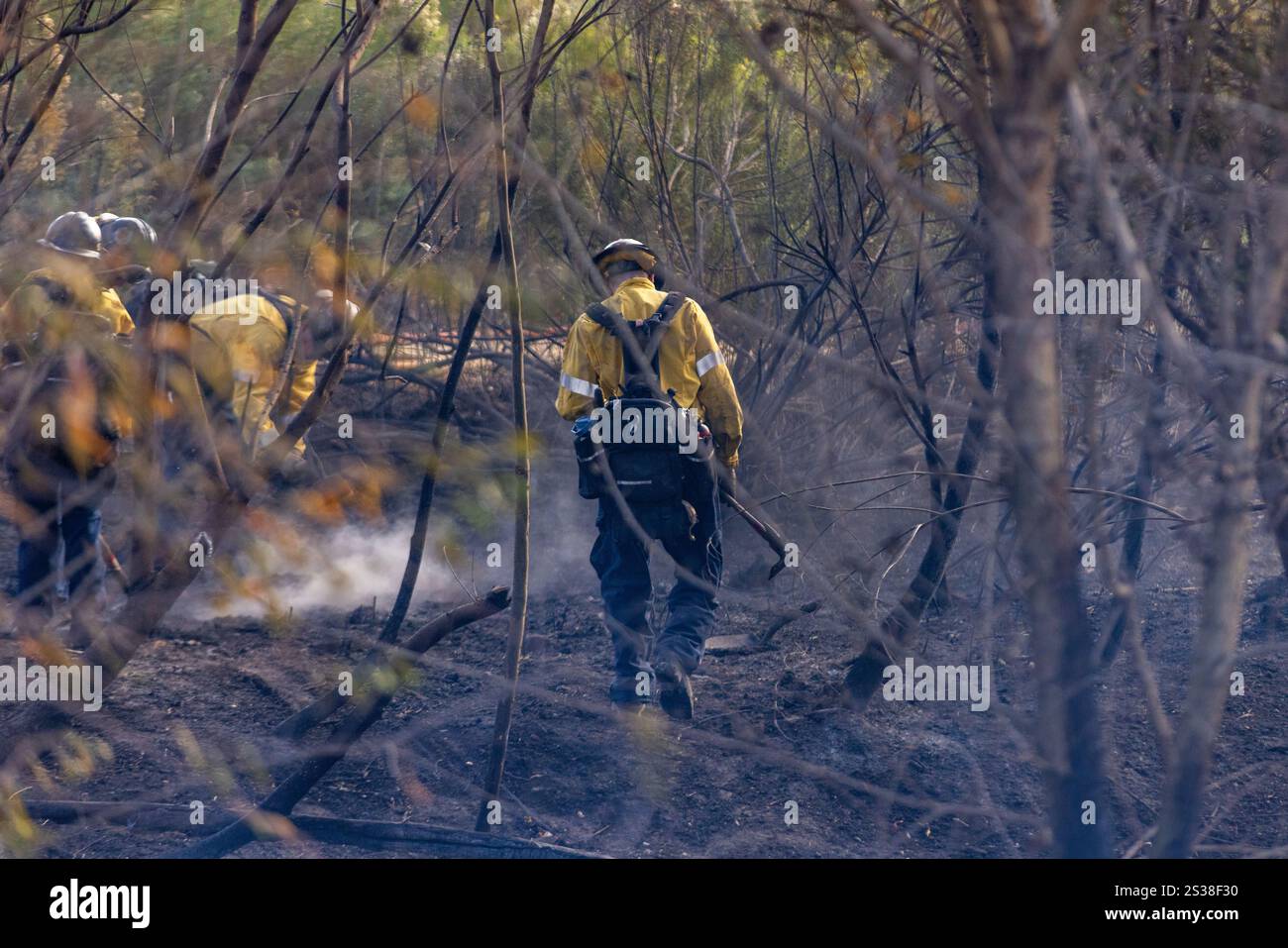 Firefighters battle multiple wildfires across Los Angeles, including the Palisades, Eaton, Hurst ...