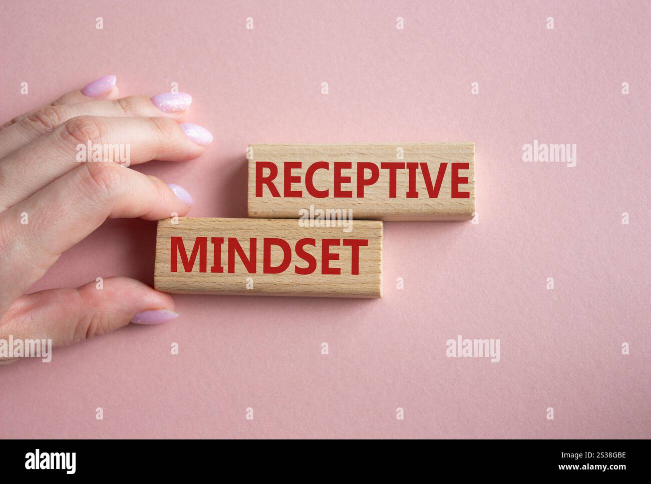 Receptive Mindset symbol. Concept word Receptive Mindset on wooden ...