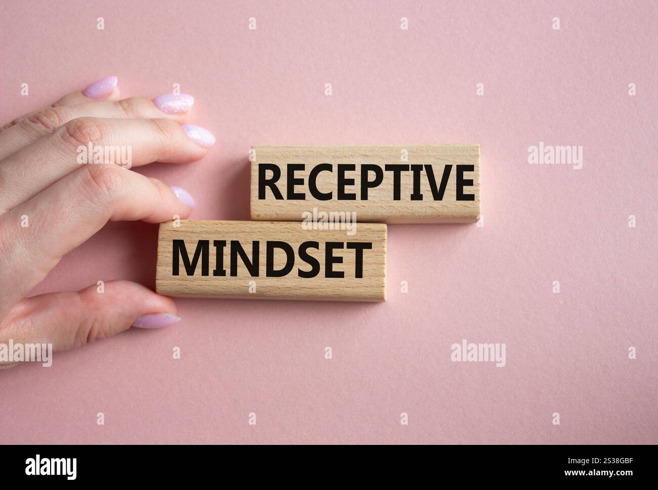 Receptive Mindset symbol. Concept word Receptive Mindset on wooden ...