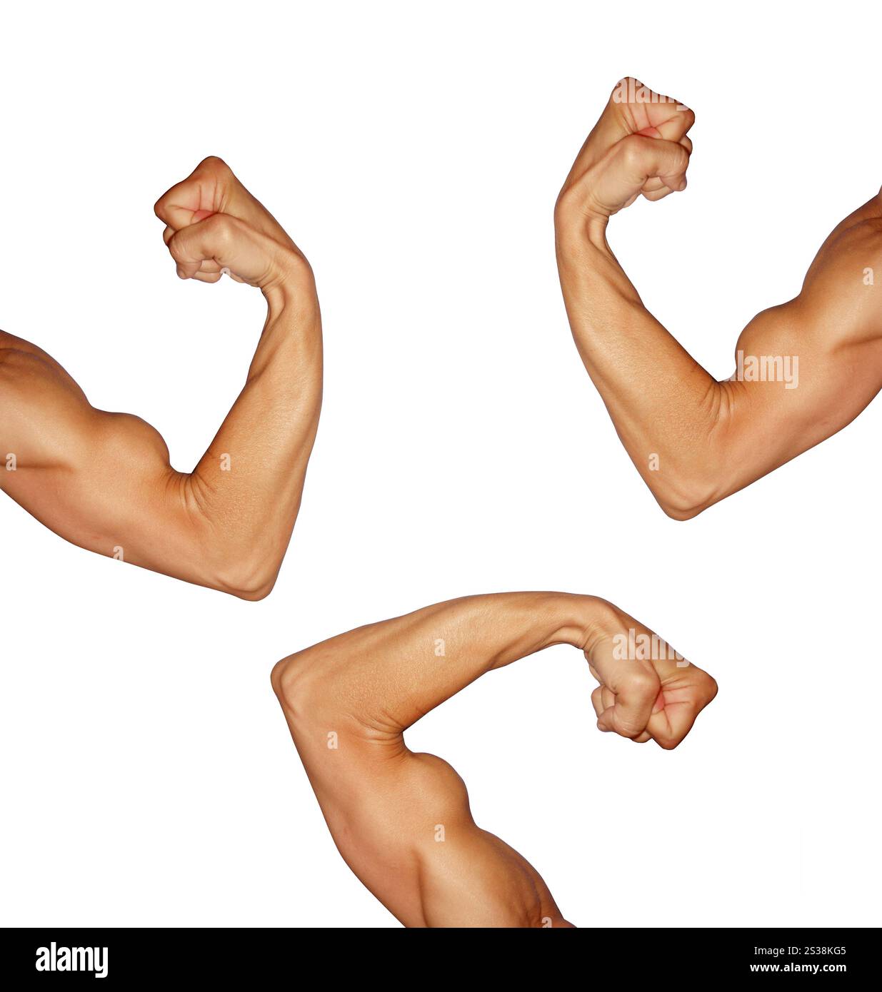 Biceps isolated on white background Stock Photo - Alamy
