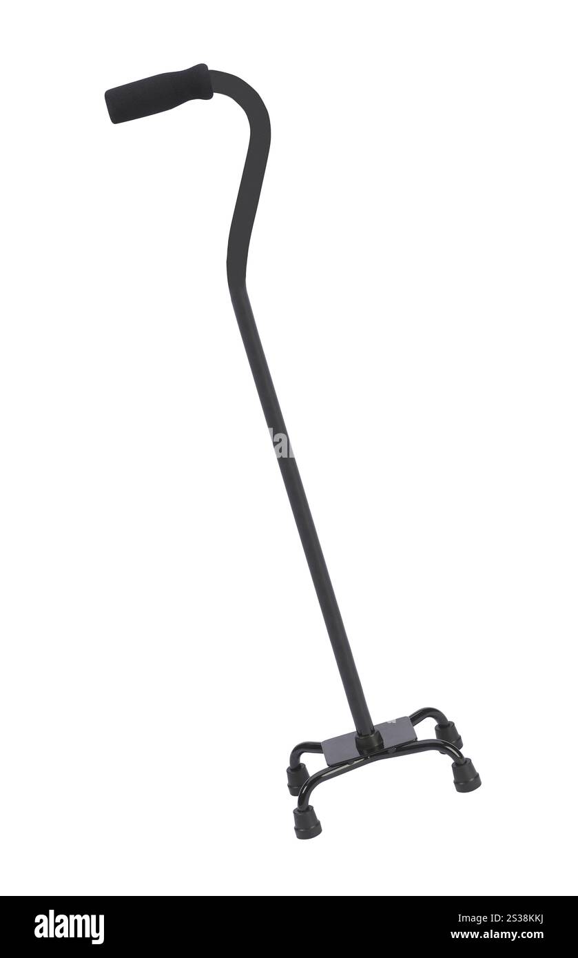 Walking stick isolated on white background. Walking stick Stock Photo ...