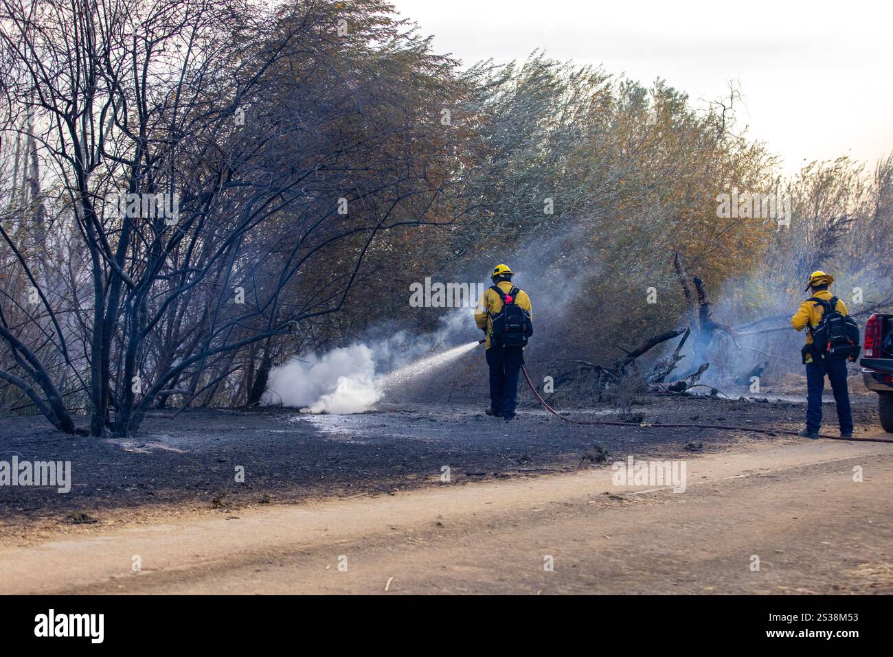 Firefighters battle multiple wildfires across Los Angeles, including the Palisades, Eaton, Hurst ...