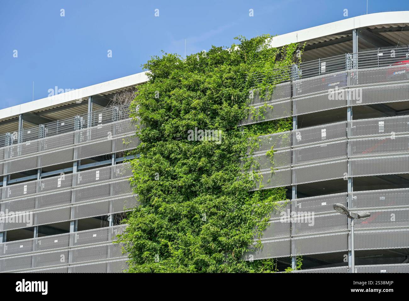 Fassadenbegrünung Gloria Palais Parkhaus, Am Steinheimer Tor, Hanau ...
