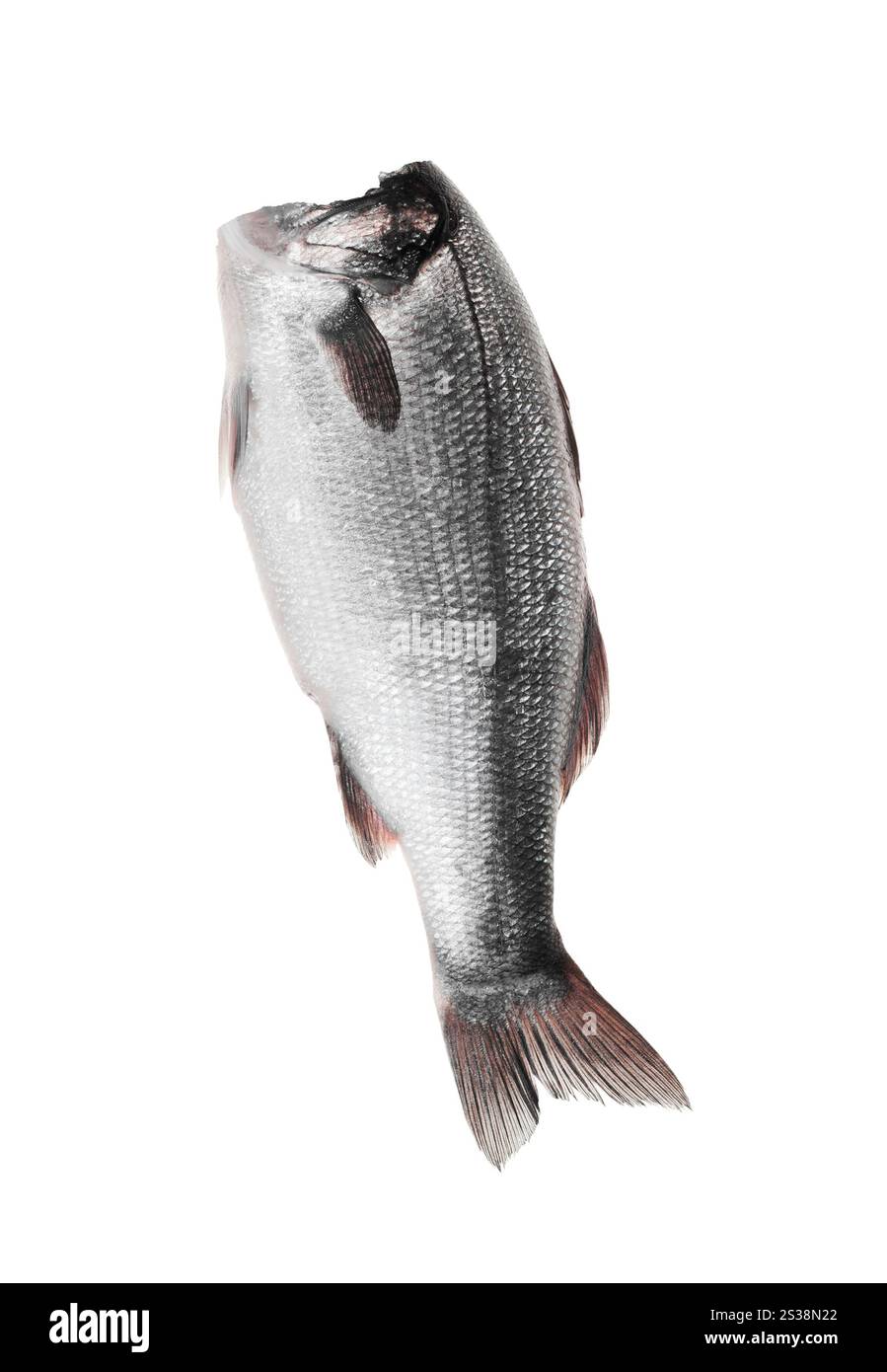 fish without head on a white background Stock Photo - Alamy