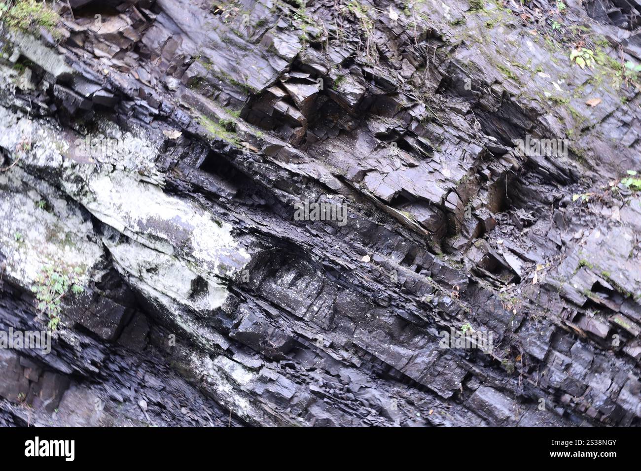 Textured rough rocks with lot of small details close up. Textured rough ...