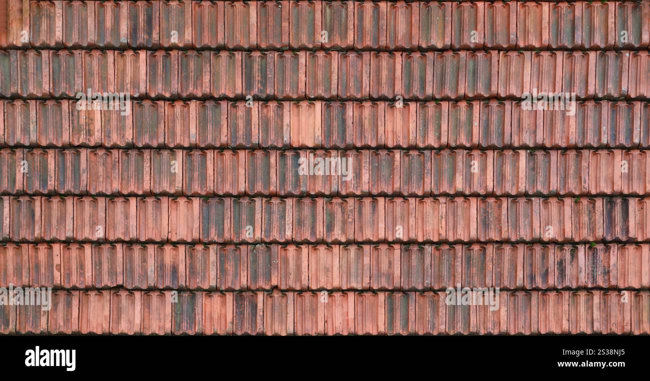 Close up of red terracotta roof shingles with some mildew. Background ...